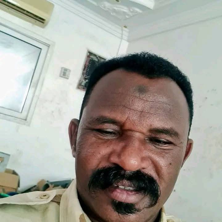 Prominent RSF commander killed in Kordofan - Darfur24 News Website