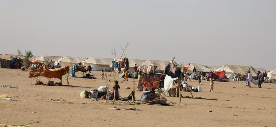 Sudan Opposition Coalition Warns of Worsening Humanitarian Crisis ...