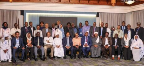 Sudanese Political Forces Gather in Addis Ababa for Consultations on ...